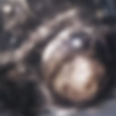 Exploring The World Of Single Celled Organisms