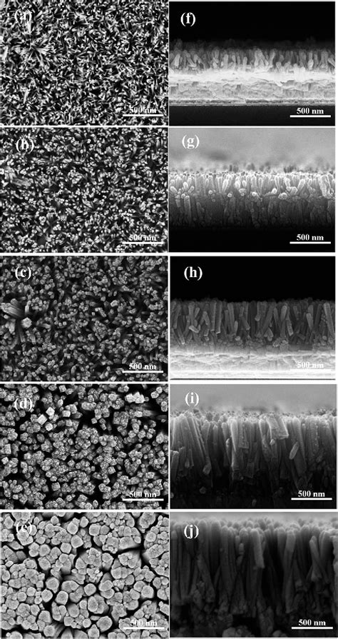 Figure 1 From Tio2 Nanorod Arrays Hydrothermally Grown On Mgo Coated Compact Tio2 For Efficient