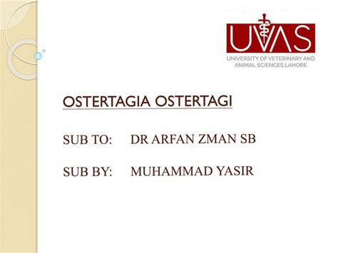 Solution Ostertagia Its Classification And Life Cycle Studypool