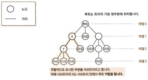 자료구조 트리와 Bfs Dfs