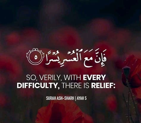 Ahmed Gamal On Linkedin Indeed 👌 ️🌹