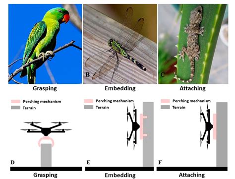 Figure 1 From On Aerial Robots With Grasping And Perching Capabilities A Comprehensive Review