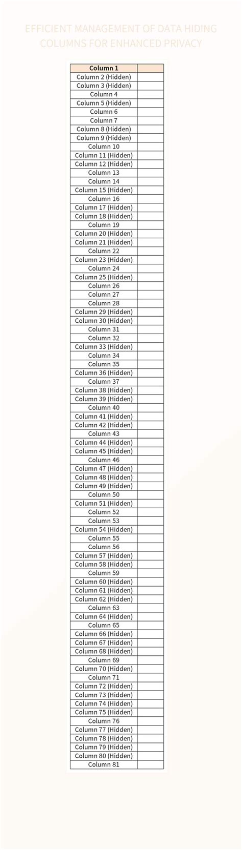 efficient management of data hiding columns for enhanced privacy excel