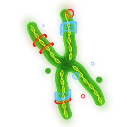 RebelCoder DNA Toolkit GitLab