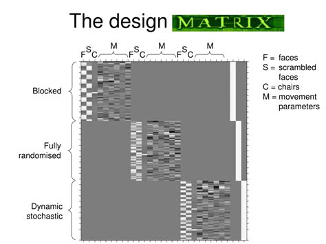 Ppt Maximizing Fmri Efficiency Practical Design Matrix Tips Powerpoint Presentation Id 9158394