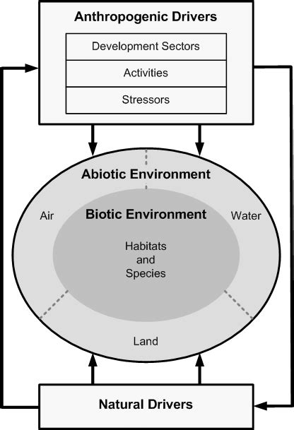 Fig A1 1 Simplified Ecosystem Model For The Study Area Download Scientific Diagram