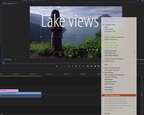 How To Add Text In Adobe Premiere Pro