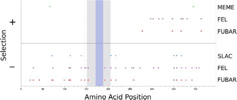 Codons Under Negative Below Horizontal Line And Positive Above