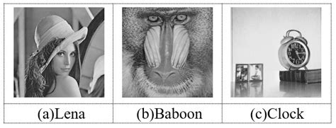 electronics free full text image authentication and restoration using block wise variational