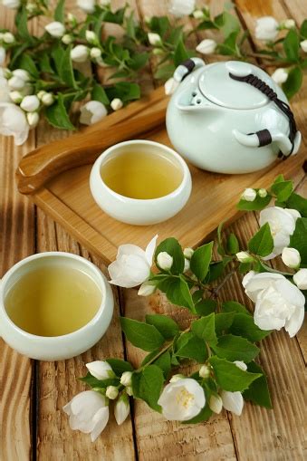 자스민 차 자스민 꽃과 녹차 녹색 주전자와 차 두 잔 자스민 나무 배경에 가지 유기농 천연 허브 바이오 티 0명에 대한 스톡