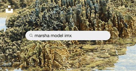 Marsha Model Imx Pictures Download Free Images On Unsplash