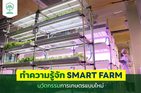 รู้จัก Smart Farm การทำฟาร์มที่ยั่งยืนของเกษตรกรยุคใหม่