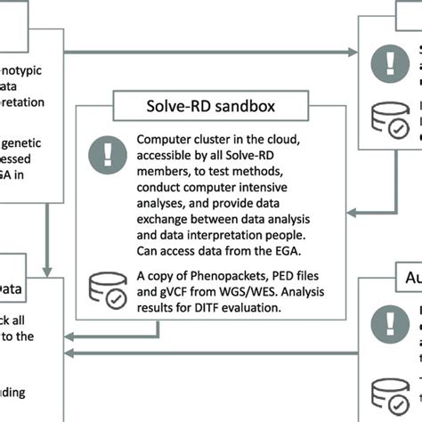 Solve RD Data Infrastructure Key Components Of The Solve RD Download Scientific Diagram