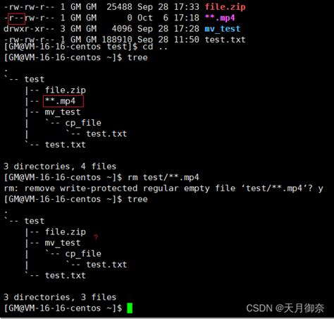 【linux】更改文件权限（详细） linux服务器如何把文件权限切换nginx csdn博客