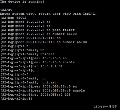 Ipv4ipv6双栈综合实验 Csdn博客
