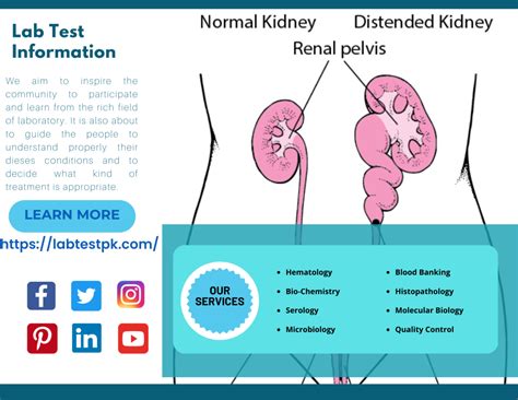 Malignant Cell Cytology