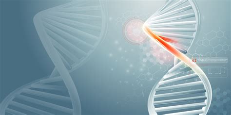 Bioinformatics Vector Images Over 620