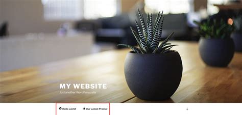 How To Use And Display Wordpress Dashicons On The Website