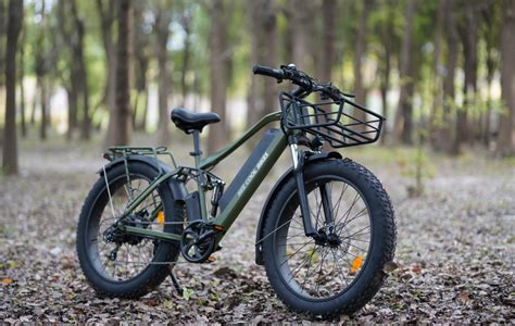 Beecool Explorer Long Range Ebikes High Performance Soft Tail Long Range