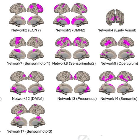 Visual Representation And Labeling Of The 17 Identified Networks