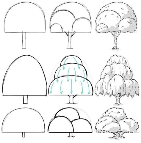Pin By Mitonios On Pins By You Trees Drawing Tutorial Tree Drawing Drawing Tutorial