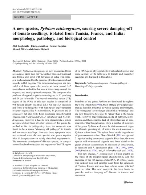 Pdf A New Species Pythium Echinogynum Causing Severe Damping Off Of