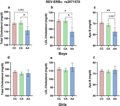 Sex Dependent Relationship Of Polymorphisms In Clock And Rev Erbα Genes