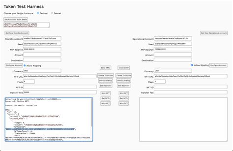 Mint And Burn NFTs Using JavaScript