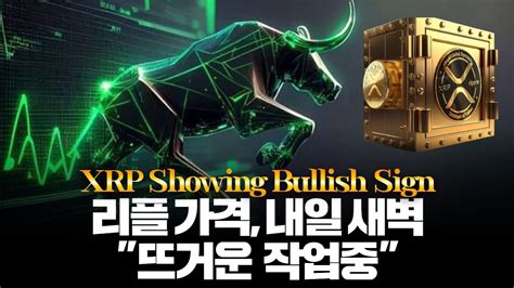 리플 가격 내일 새벽 뜨거운 작업중” Youtube