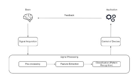 Basic Architecture Of A Bci System Bci Takes Samples Of Signals That