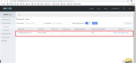 Sentinel无法监控服务 Csdn社区