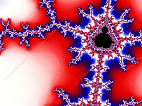 Mandelbrot Fractal Stock Image F003 5042 Science Photo Library