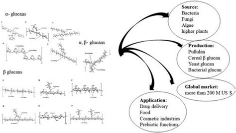 Industrial Production And Applications Of αβ Linear And Branched Glucans Indian Chemical
