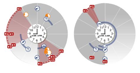 Metaphorical Visualization Monday Download Scientific Diagram