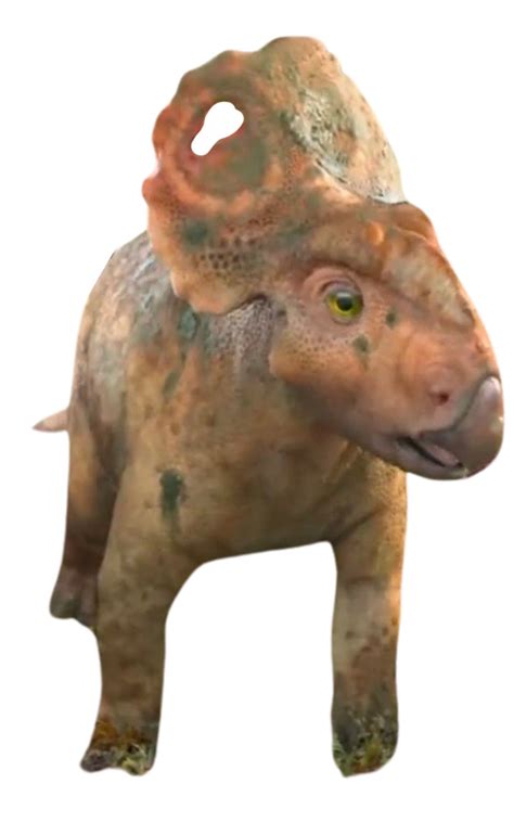 Patchi By Dracoawesomeness On Deviantart