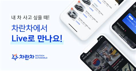 찾는차 다있다 차란차 도이치오토월드