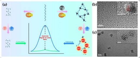 Schematic Illustration Of Hg 2 Quantification Based On Fluorescence Download Scientific