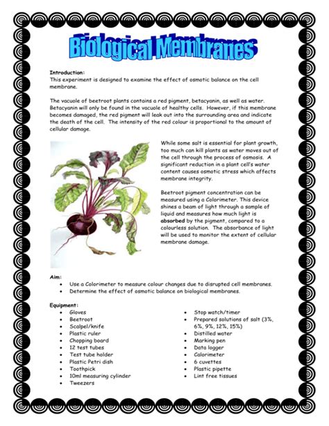 Osmosis And Cell Membrane Lab Beetroot Experiment