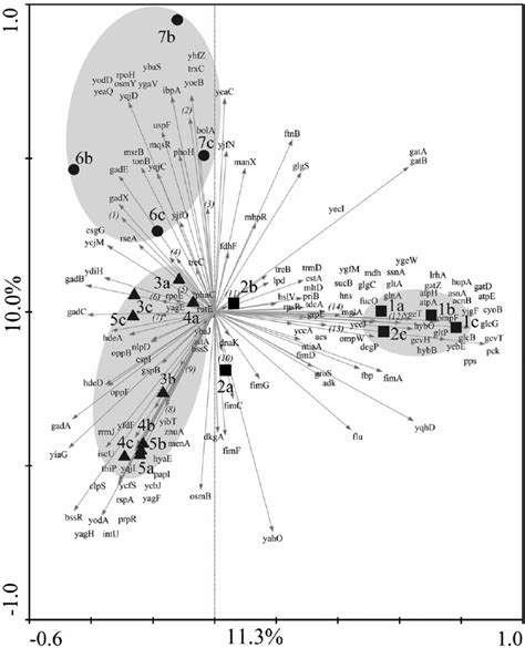 Principal Component Analysis Of Upregulated Genes Obtained In The 50