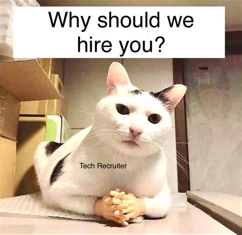 why… r programmerhumor