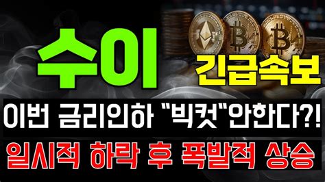 수이 코인전망 이번 금리인하 빅컷 안한다 일시적 하락 후 폭발적 상승 Youtube