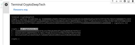 Bitcoin Wallet Recovery Via Ecdsa Short Signatures