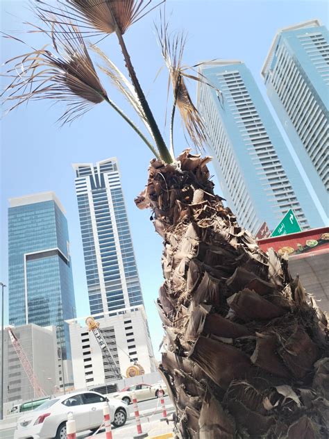 Thushari Sabarathnam