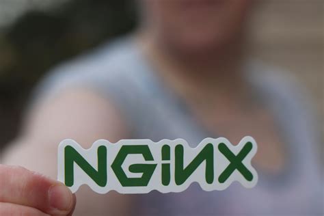 ¿cómo Ejecutar Un Programa Desde La Terminal De Linux Mecna