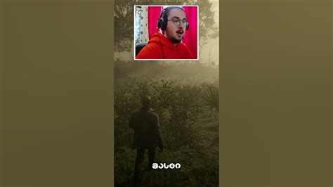 ლომი ეძებს ვეფხვს Youtube