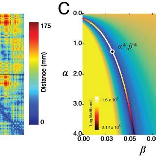 Typical Input Matrices A Representative Connectivity Matrix For The Download Scientific