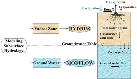 6 A Schematic Representation Of The Hydrus Software Package Used In Download Scientific
