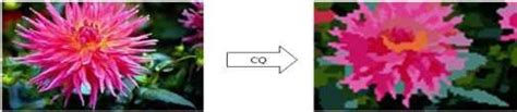 dcd color quantization using gla download scientific diagram