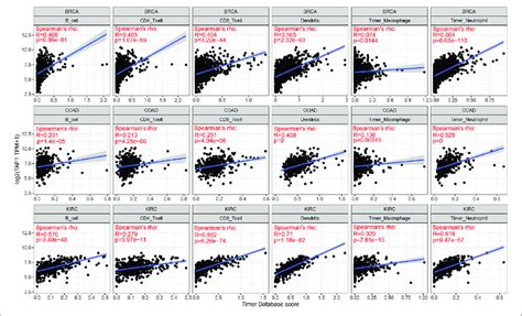 The Correlation Of Transporter Associated With Antigen Processing 1 Download Scientific