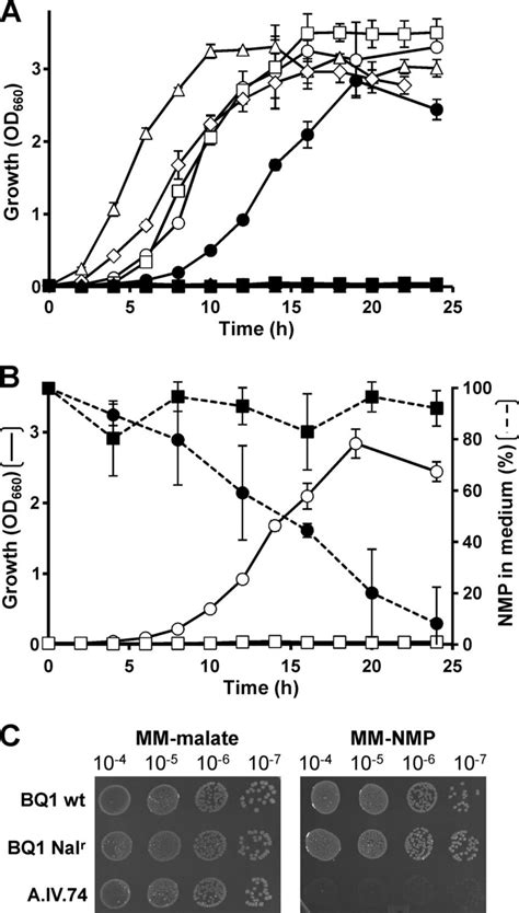 Growth And Nmp Consumption Of Different Strains In Mm Nmp And Lb A